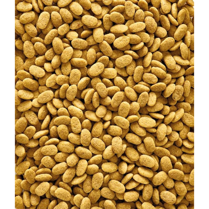 Versele Laga Nutribird P19 Pellet 10kg